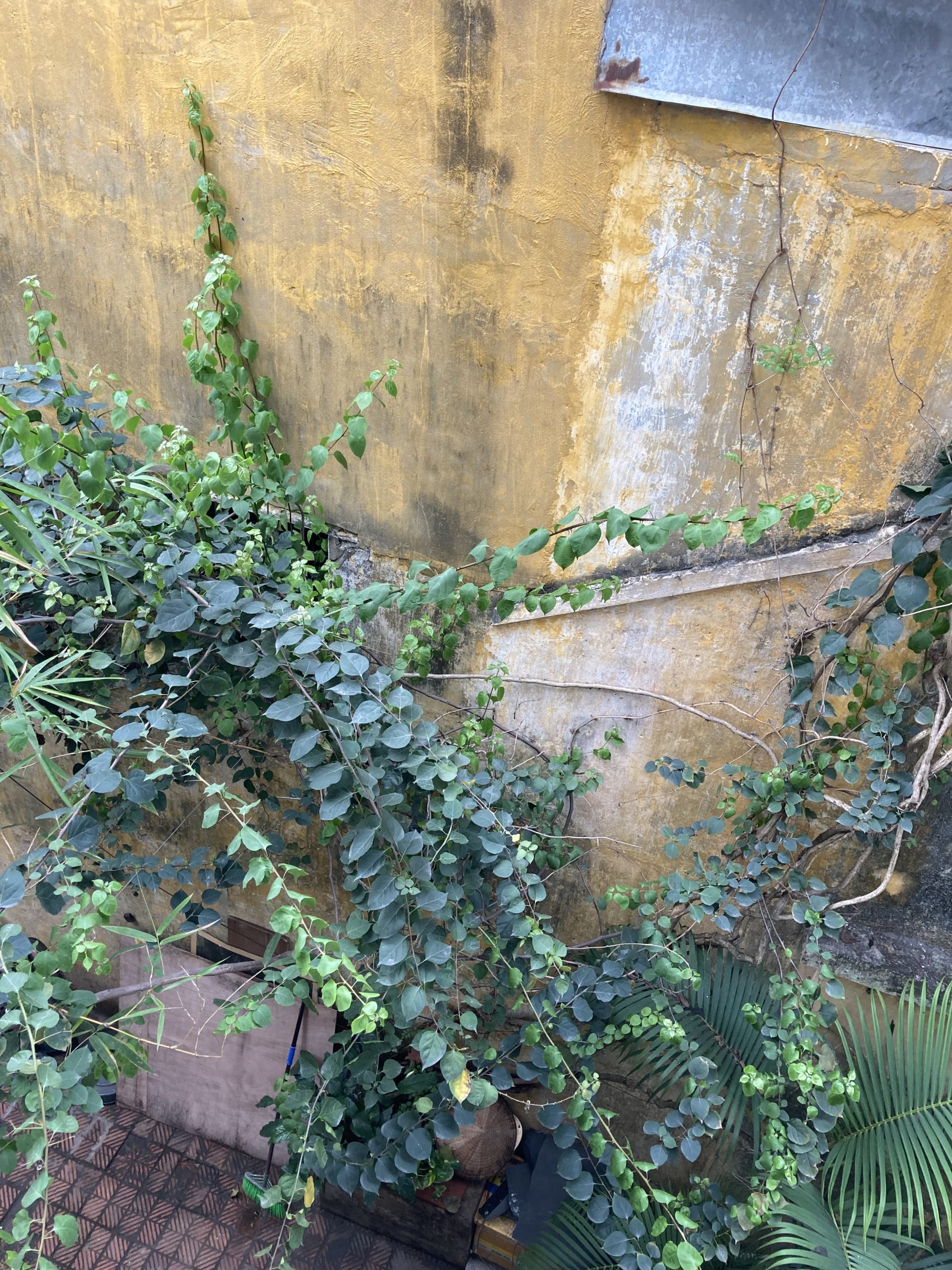 Rediscovering art in Hanoi | Launshae's art Rediscovering art in Hanoi | Launshae's art